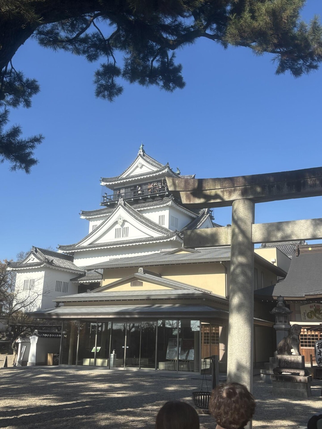 明けましておめでとう御座います 今日昼前... / Kingさんのモーメント | YAMAP / ヤマップ