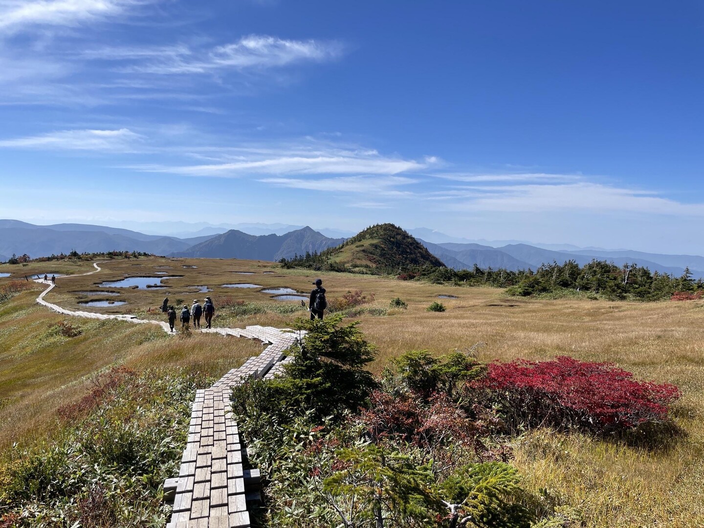 苗場山 / naruさんの苗場山・赤倉山・佐武流山の活動データ | YAMAP / ヤマップ