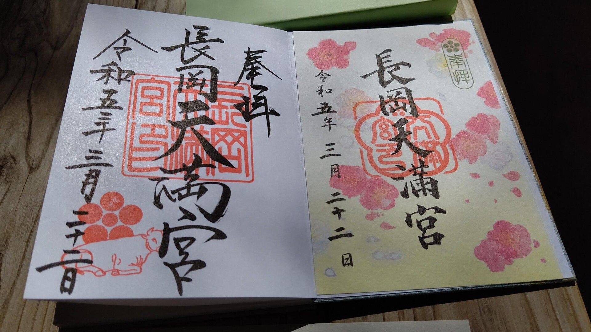 STM繋ぎ23-03-22 / 絵青(かいせい)さんのサイクリングの活動データ | YAMAP / ヤマップ