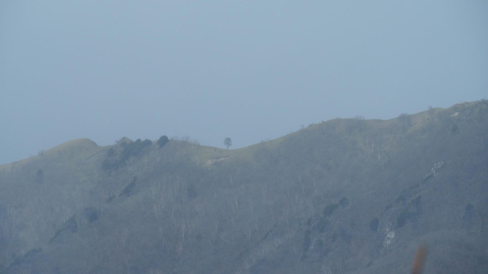 遅めの出発備前楯山！⛰️ / K1_Yuukiさんの社山・半月山の活動データ | YAMAP / ヤマップ