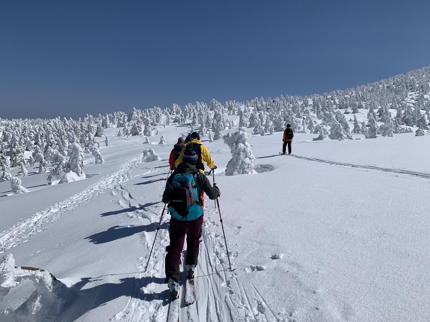 八甲田遠征 2日め午前の部 BCツアー (八甲田温泉ルート) / nonpui(ノンプイ)さんの八甲田山・高田大岳・雛岳の活動データ | YAMAP / ヤマップ