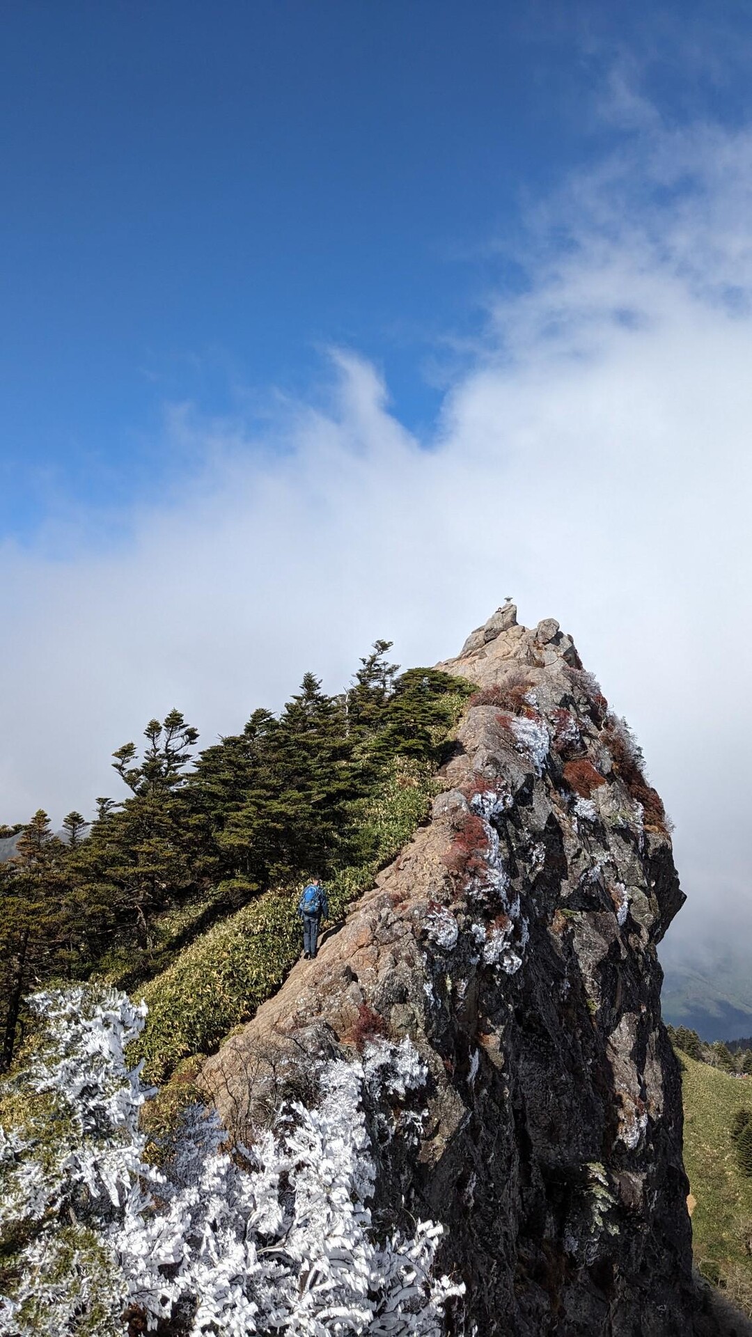 石鎚山 / seigoさんの石鎚山・堂ヶ森・二ノ森の活動日記 | YAMAP / ヤマップ