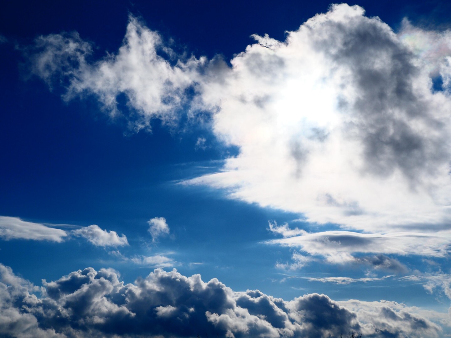 北尾根P1018~貝月山 / TJさんの貝月山の活動データ | YAMAP / ヤマップ