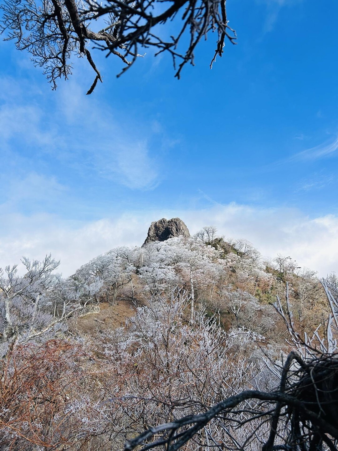 鹿川〜☆鹿納山・鹿納の野・お姫山・乙女山 / tomoさんの大崩山・五葉岳・新百姓山の活動データ | YAMAP / ヤマップ