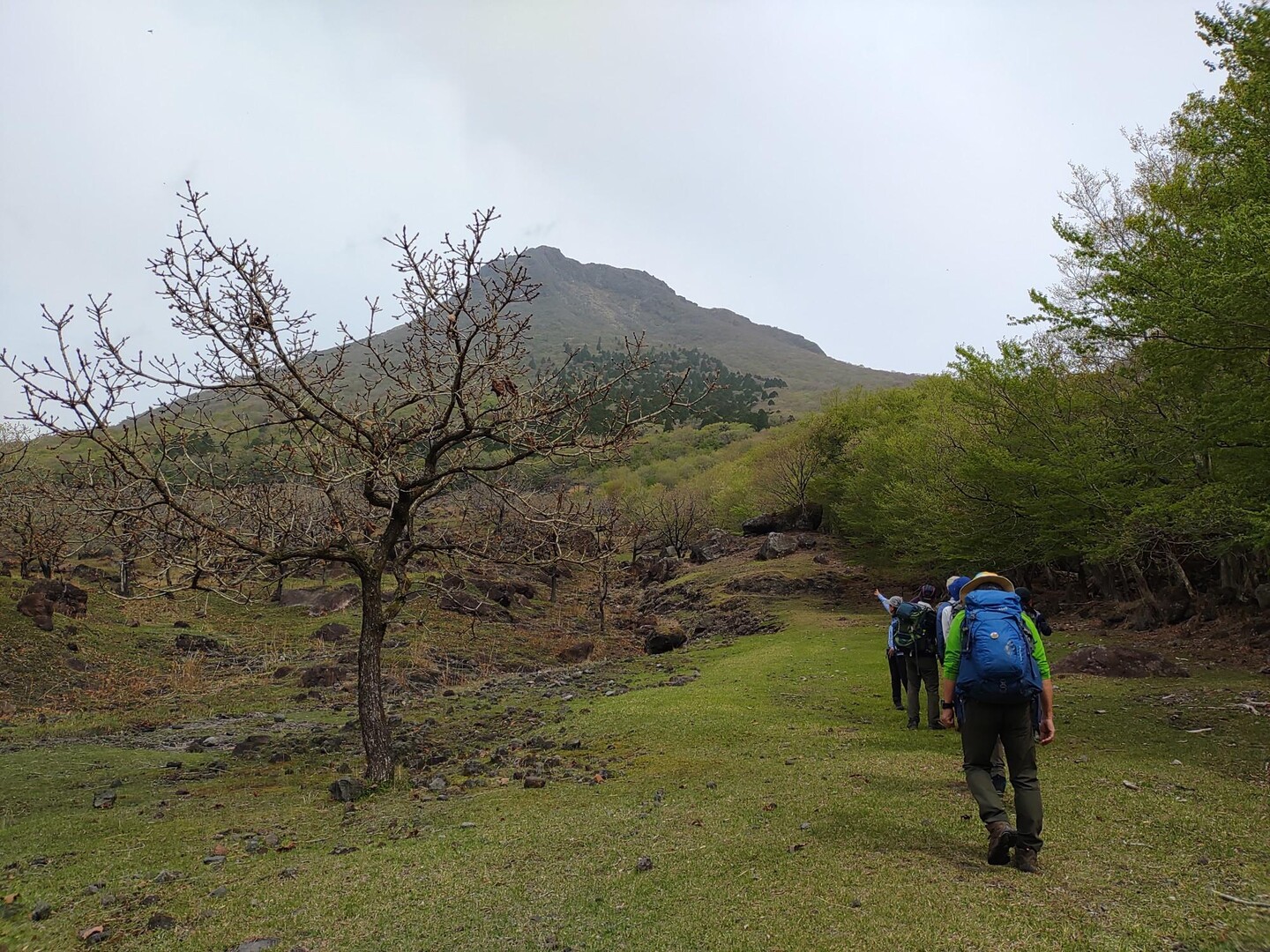 花の由布岳（東峰） / Mt.Keyさんの由布岳・鶴見岳の活動データ | YAMAP / ヤマップ