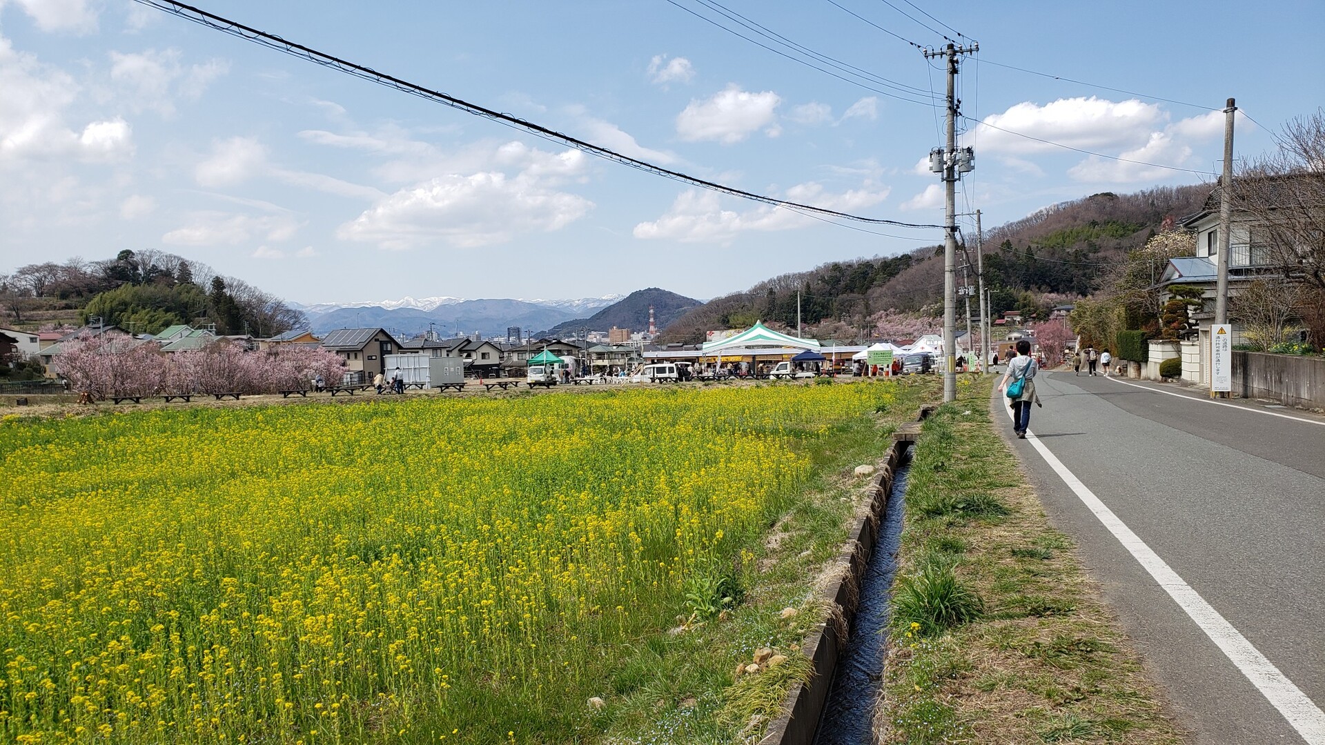 もうすぐ桃源郷‼️花見山🌸 桜の蕾も... / mozuさんのモーメント | YAMAP / ヤマップ