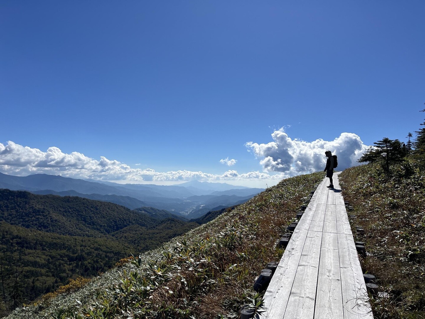 尾瀬 / おのきょうPHさんの尾瀬・燧ヶ岳の活動日記 | YAMAP / ヤマップ