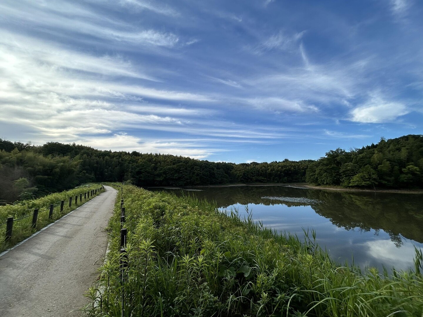 New Peak⛰️おんか山🌳猪高緑地 / ちょりさんの根岳・親鸞山の活動データ | YAMAP / ヤマップ