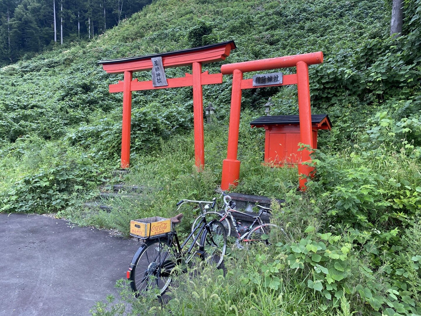 薬師山R5-16 / K.Racingさんの薬師山の活動データ | YAMAP / ヤマップ