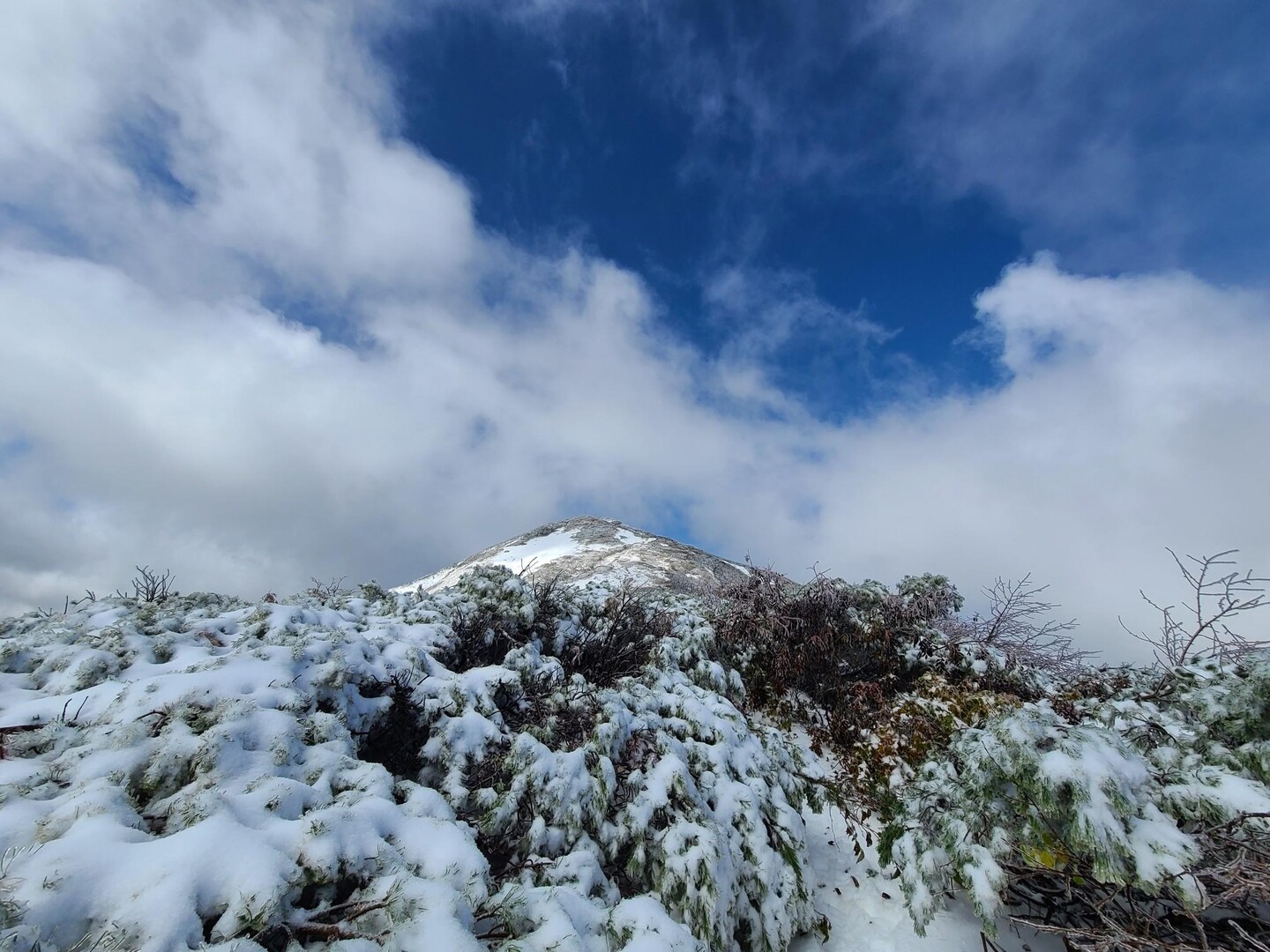 火打山 / Reyさんの妙高山・火打山の活動日記 | YAMAP / ヤマップ