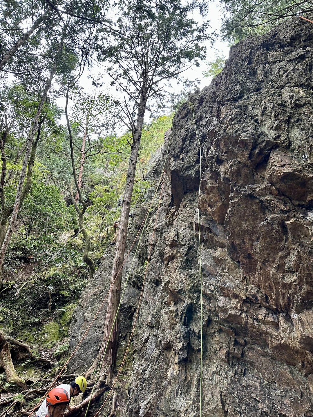 金毘羅山でトップロープクライミング‼️ ... / ryosui_ さんのモーメント | YAMAP / ヤマップ
