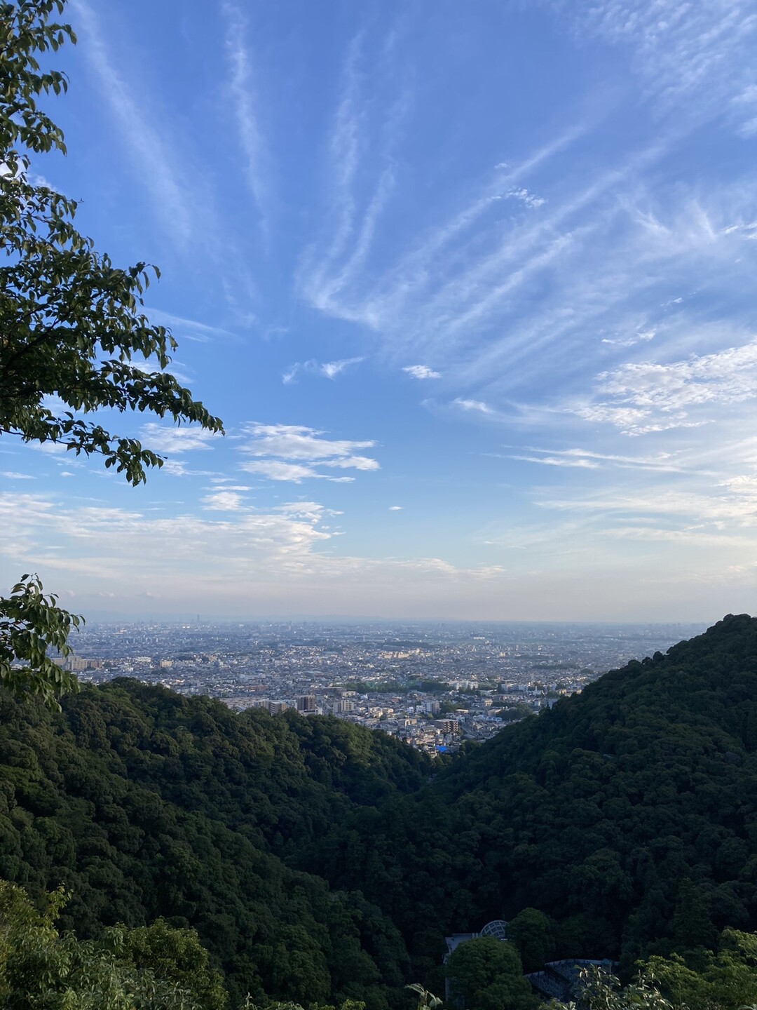 六個山・箕面山・天上ヶ岳・堂屋敷・長谷山・鉢伏山・明ヶ田尾山・石堂ヶ岡・証如峰・最勝ヶ峰・勝尾寺南山 / maecciさんの六個山・鉢伏山・明ヶ田尾山・五月山の活動日記 | YAMAP / ヤマップ