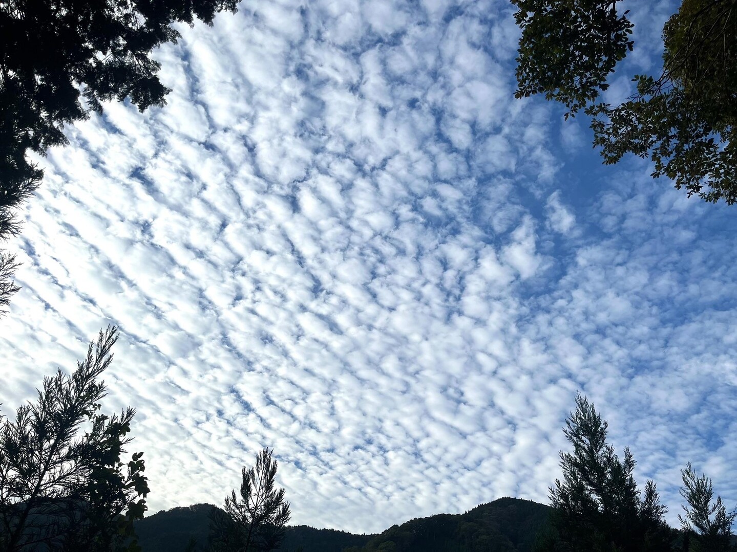 浅間嶺・松生山・払沢の滝 / fumさんの浅間嶺・松生山の活動データ | YAMAP / ヤマップ