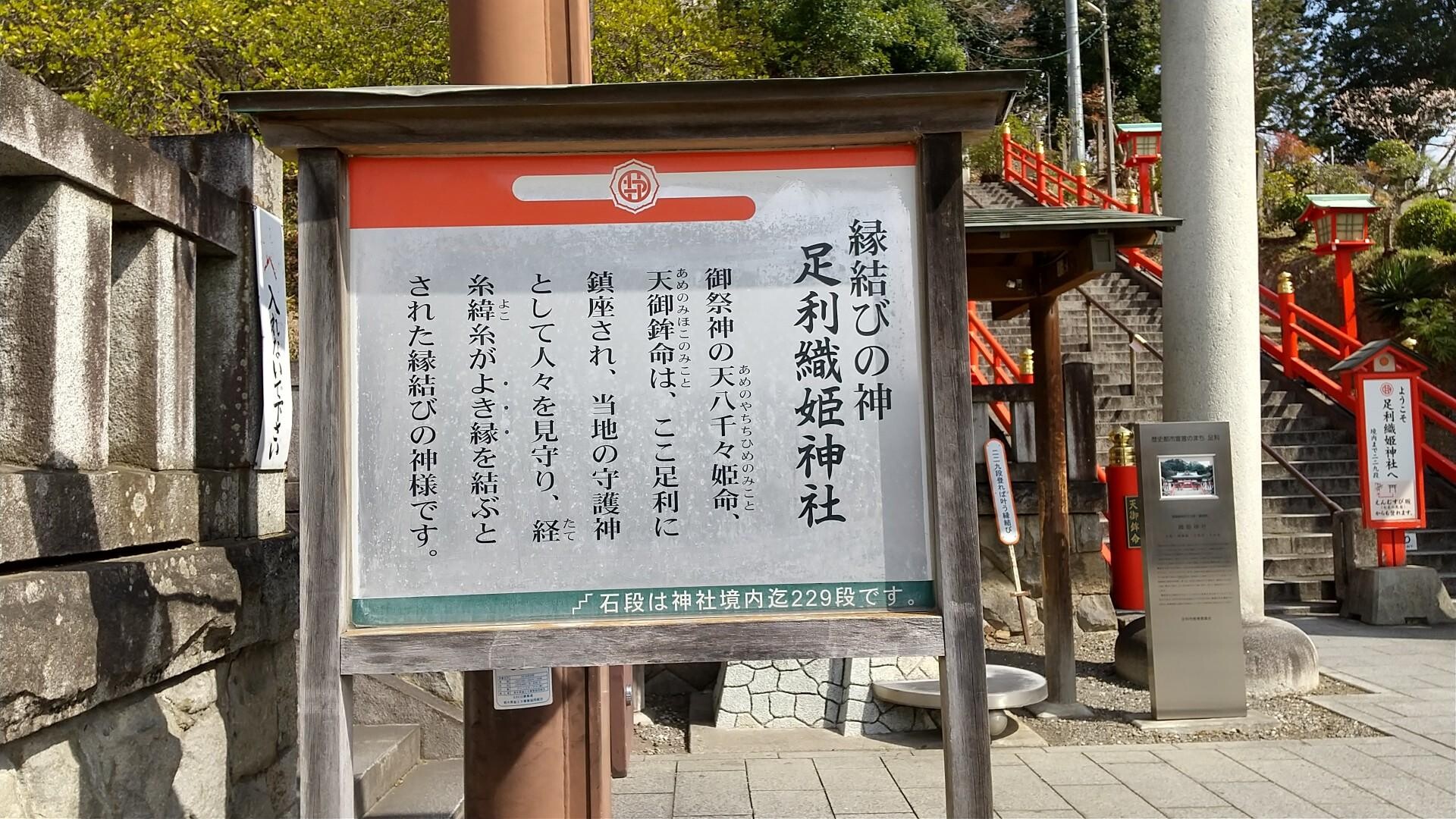 両崖山・天狗山 / あきGOGOさんの両崖山・仙人ヶ岳・石尊山の活動データ | YAMAP / ヤマップ