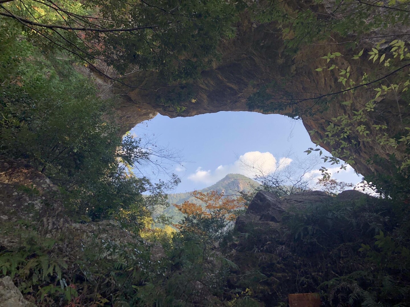 乳岩峡・明神山DNF / pandaさんの鍵掛山・高土山の活動データ | YAMAP / ヤマップ