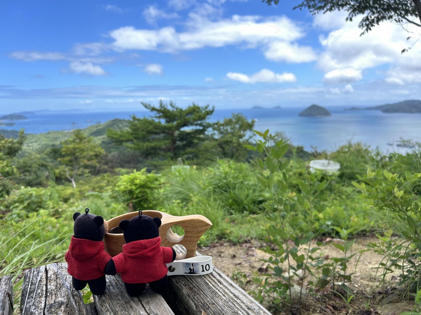 青空がキレイ過ぎる((´∀`*))三角台。 / datinさんの鎮南山の活動データ | YAMAP / ヤマップ