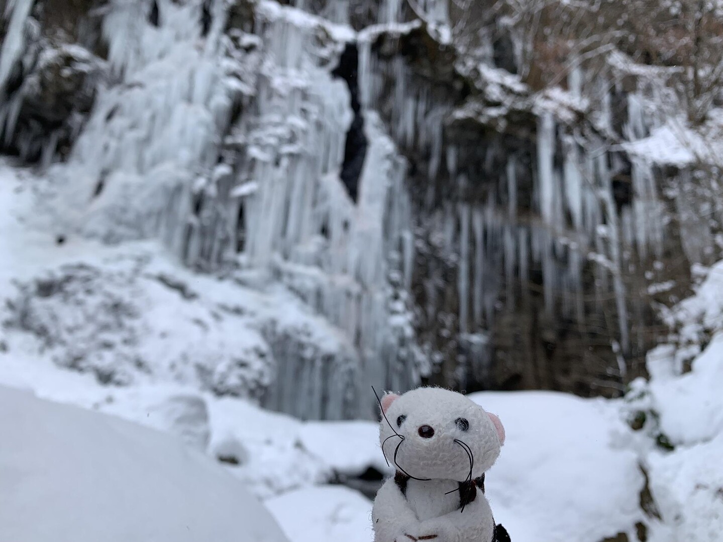 スッカン沢 氷瀑 / ARさんの桝形山の活動データ | YAMAP / ヤマップ