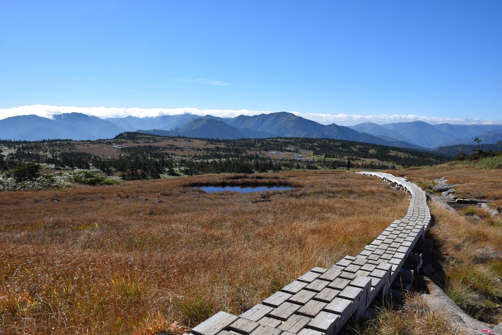 苗場山。 / ritchさんの苗場山・赤倉山・佐武流山の活動データ | YAMAP / ヤマップ