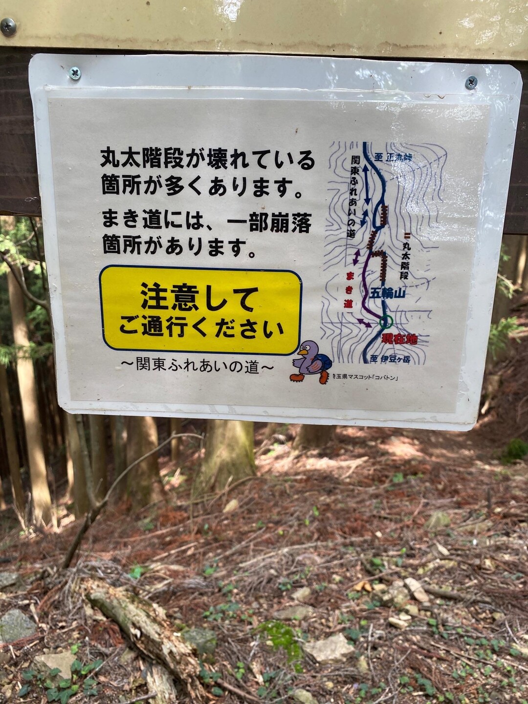 やんれんさんの投稿したフィールドメモ | YAMAP / ヤマップ