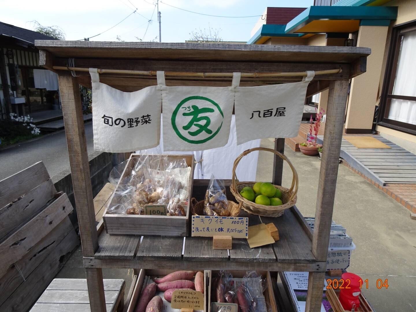 キクイモ。 / はるかかなたさんのモーメント | YAMAP / ヤマップ