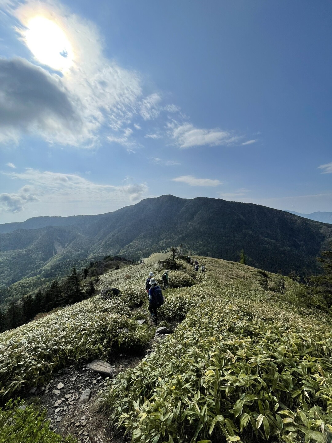 根子岳・四阿山・中四阿・小四阿 / askさんの四阿山・根子岳の活動データ | YAMAP / ヤマップ