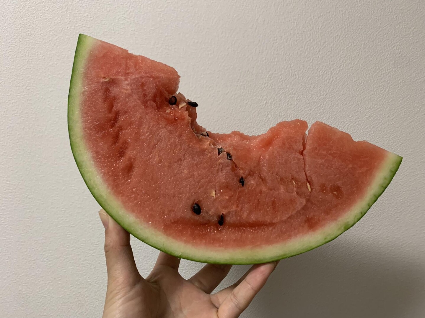 こんばんは(^^) スイカだぁぁいすき ... / myq.さんのモーメント | YAMAP / ヤマップ