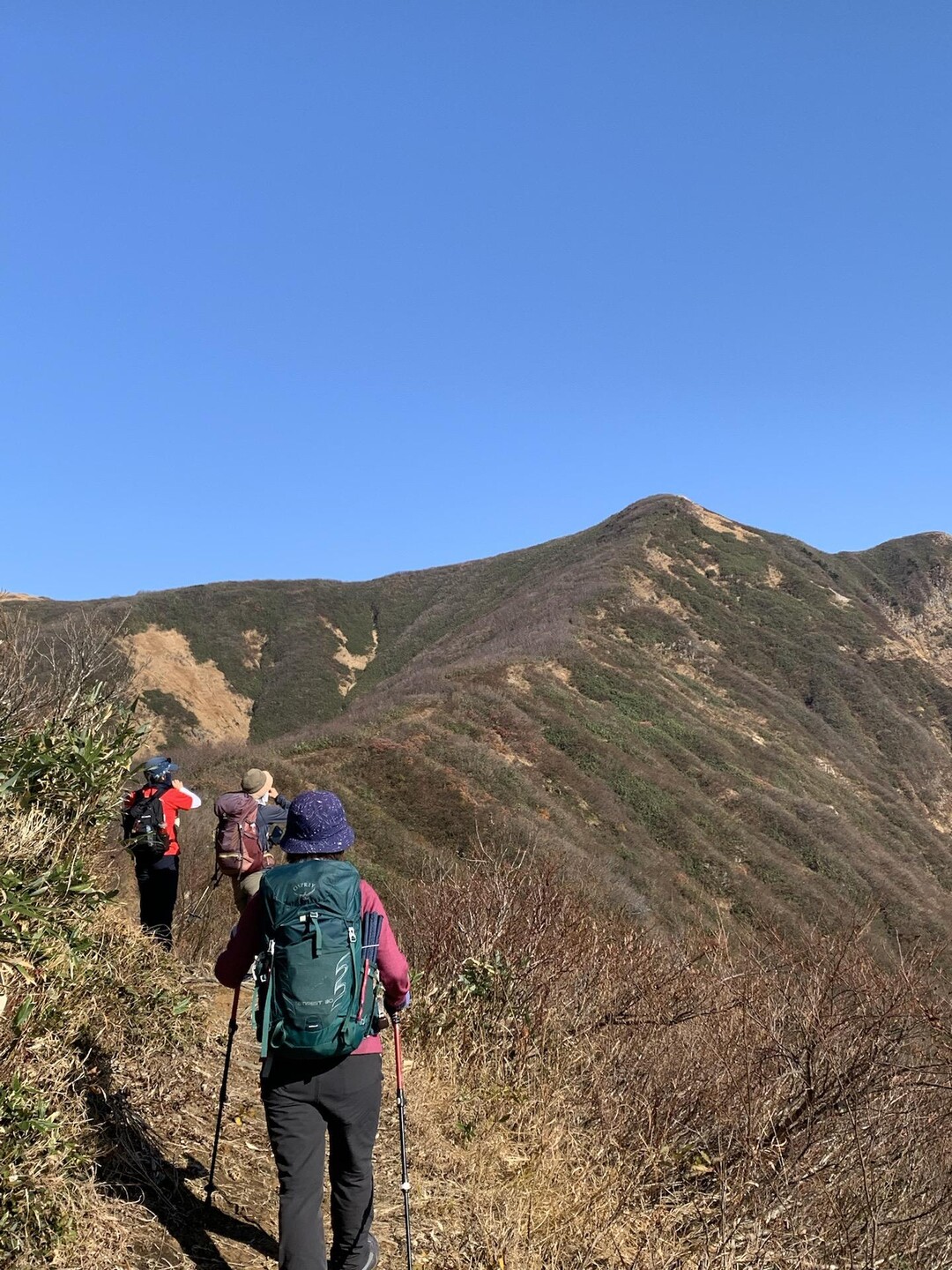 守門岳↔️青雲岳 4woman ️ / Qooさんの守門岳・大岳・網張山の活動データ | YAMAP / ヤマップ