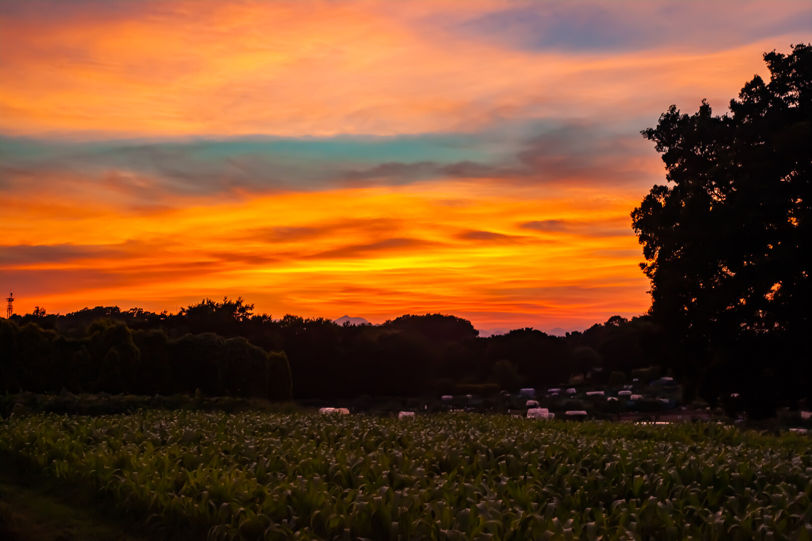 今日の夕暮れ空。激しく焼けた。夕焼けに照... / stripeさんのモーメント | YAMAP / ヤマップ