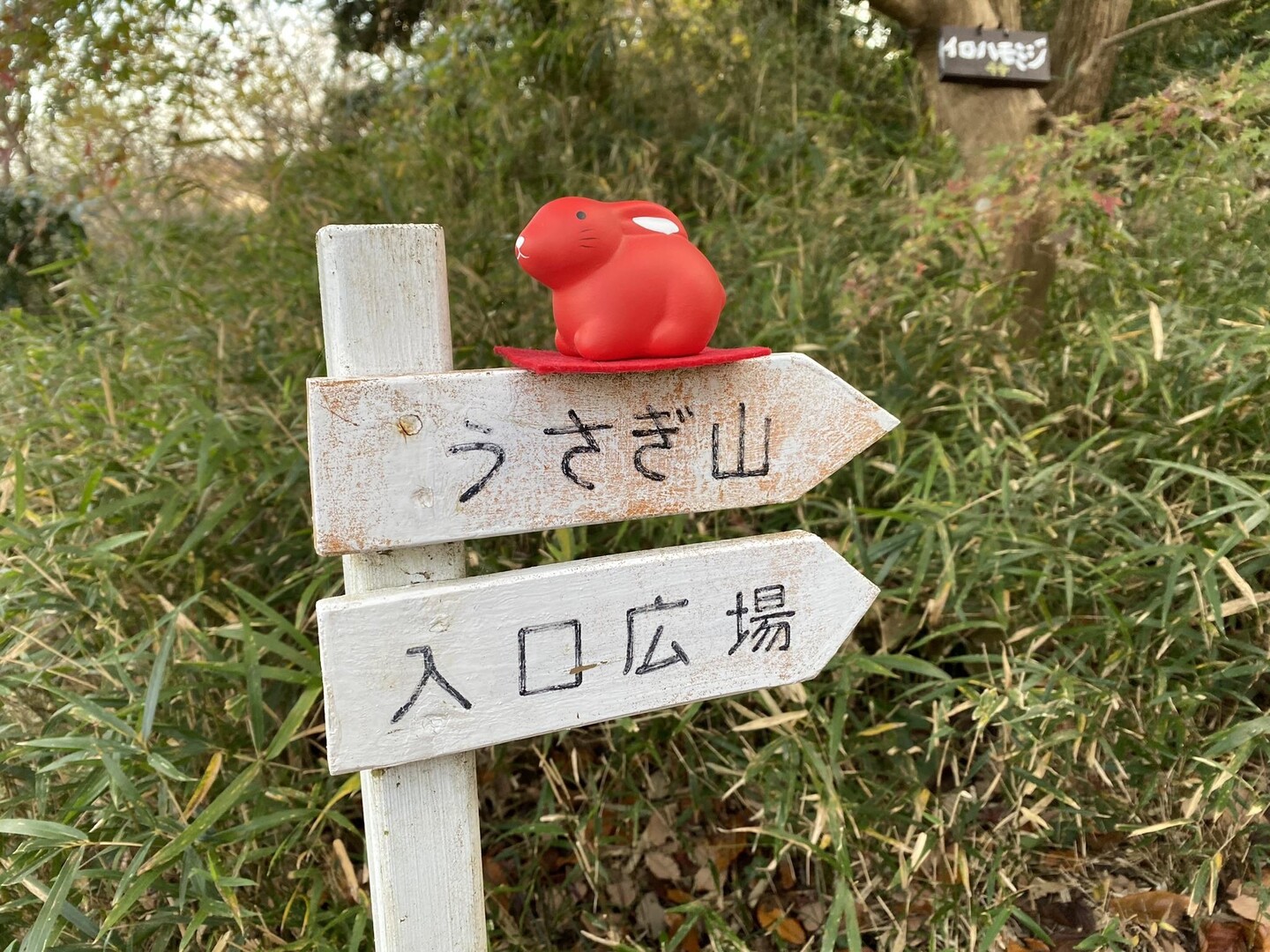 今年中にうさぎ山へ🐇 山と海とお店巡り💜 / motoさんの江の島の活動データ | YAMAP / ヤマップ