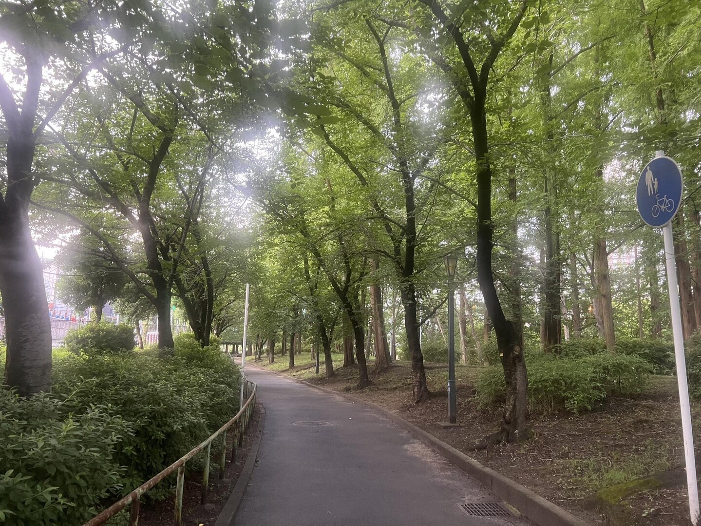 大川・大阪城公園 Run&Walk -2023-07-14 / mattさんの大阪市の活動データ | YAMAP / ヤマップ