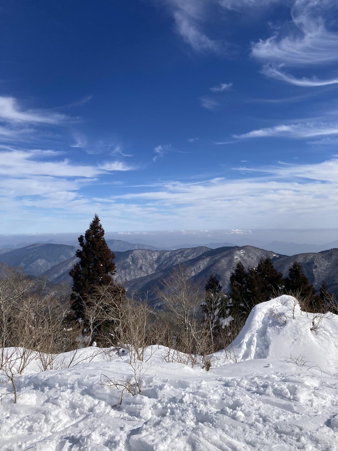 恐羅漢山 / cbmdさんの恐羅漢山の活動データ | YAMAP / ヤマップ