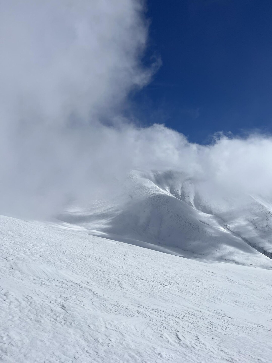 姥ヶ岳BC / maxさんの月山の活動データ | YAMAP / ヤマップ