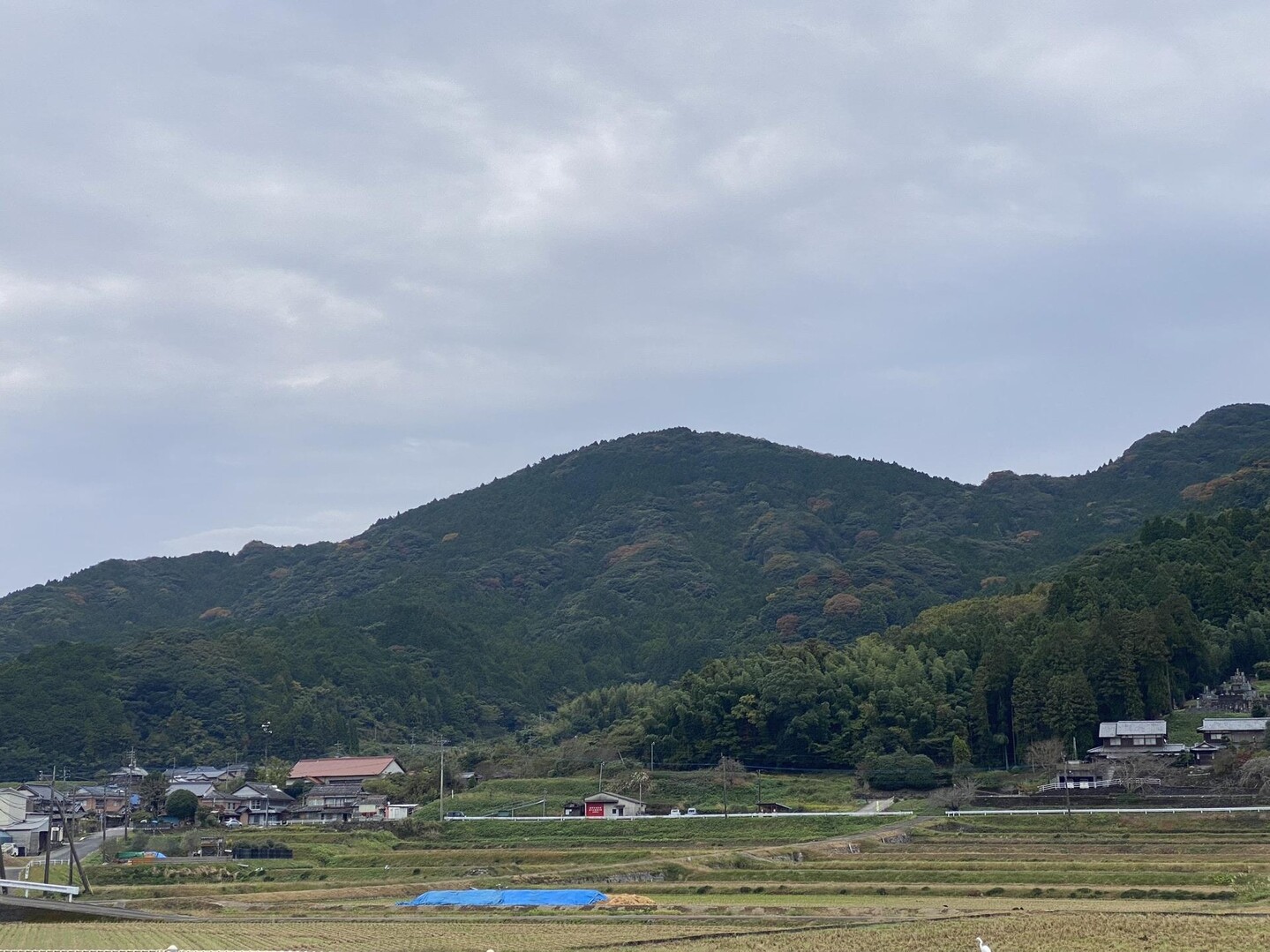 片平山（佐賀県嬉野市） / ミルクルZさんのモーメント | YAMAP / ヤマップ