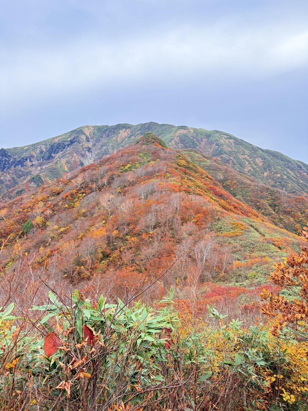 日向山・中ノ岳・小兎岳・兎岳・大水上山・丹後山 / cococoさんの越後駒ヶ岳・八海山・中ノ岳の活動日記 | YAMAP / ヤマップ
