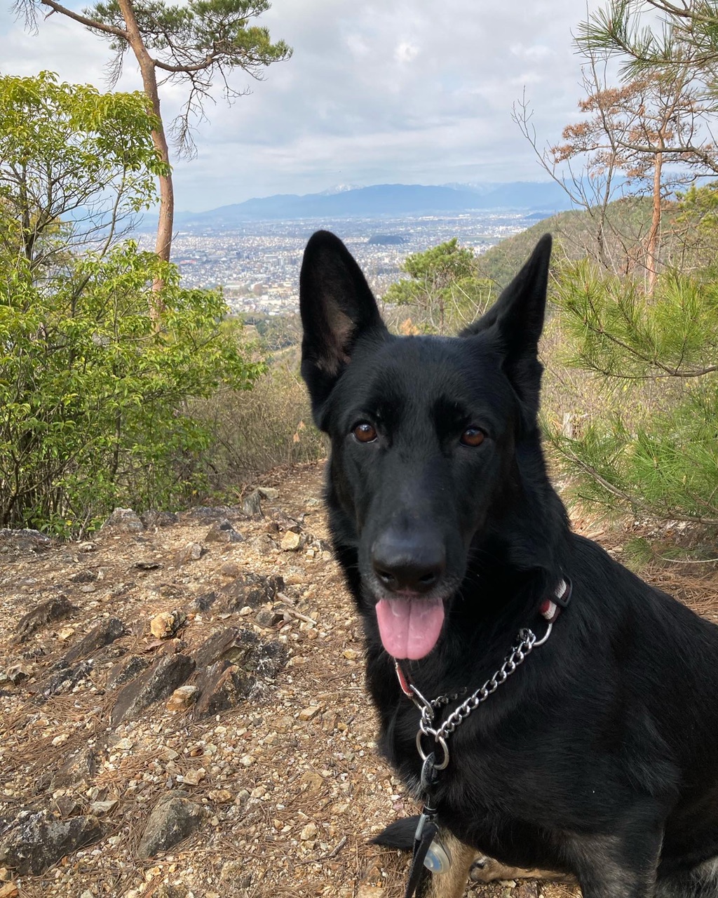 run&hiroのページ | YAMAP / ヤマップ