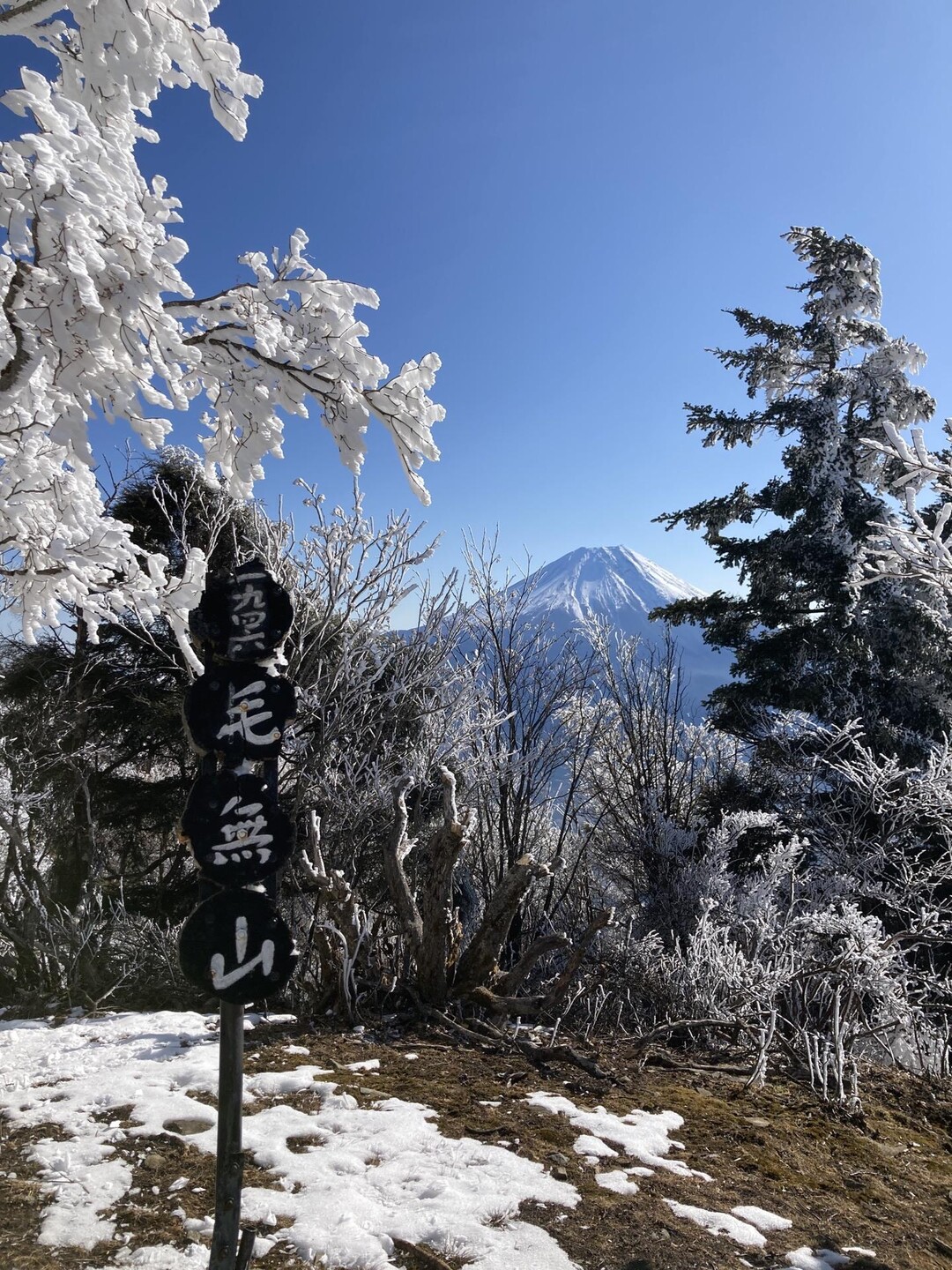 毛無山・雨ヶ岳 / べこさんの毛無山・雨ヶ岳・竜ヶ岳の活動データ | YAMAP / ヤマップ