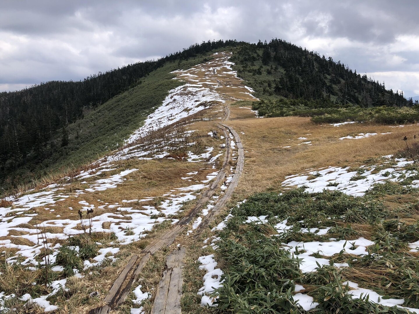 中門岳・会津駒ヶ岳 / fpさんの会津駒ヶ岳の活動データ | YAMAP / ヤマップ