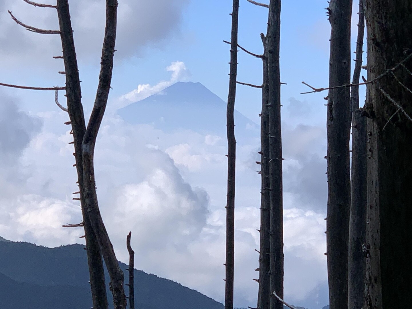 朝日岳・鉄山・金峰山（甲州御岳山） / RUTSUさんの瑞牆山・金峰山の活動データ | YAMAP / ヤマップ