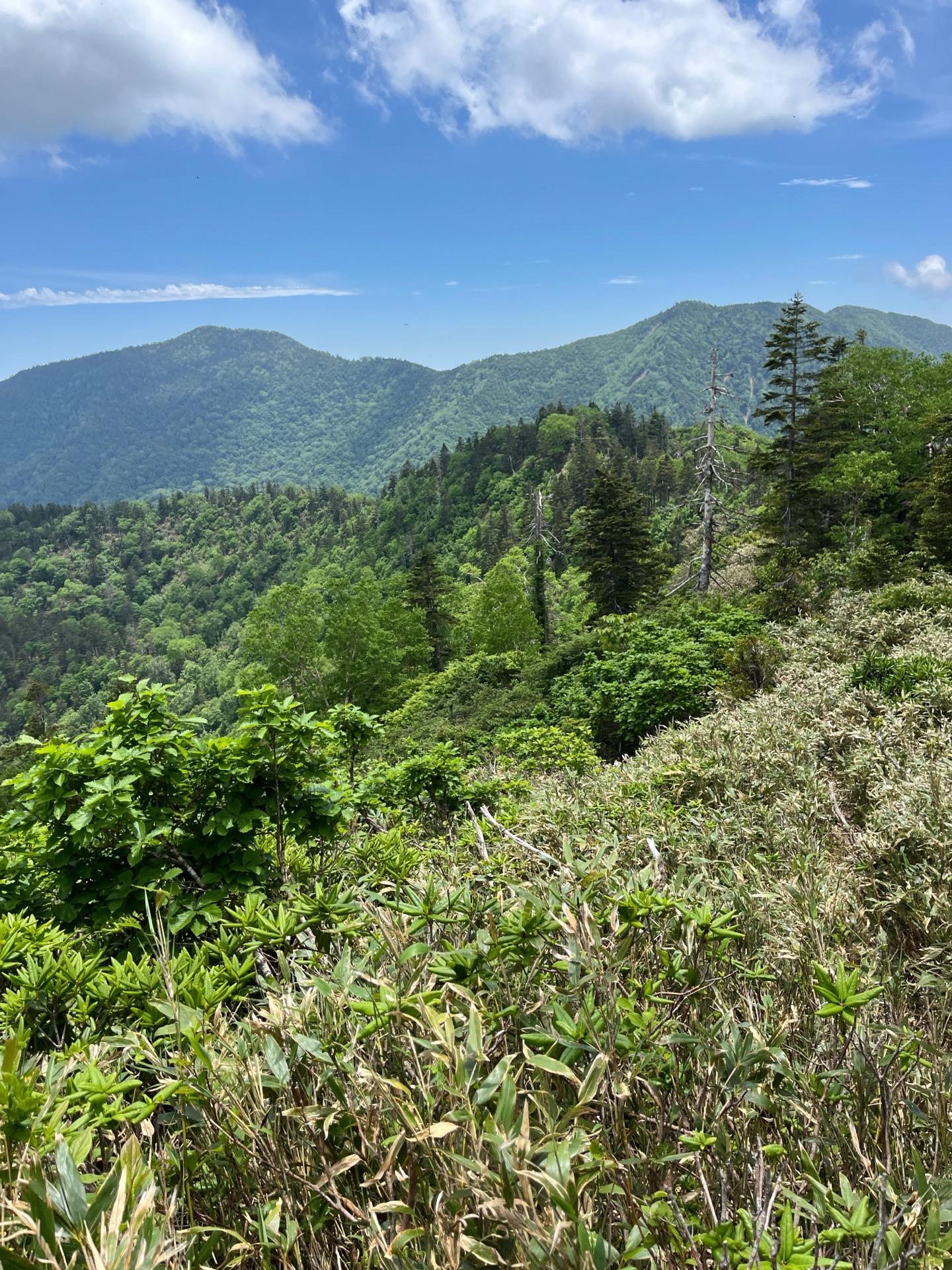 男鹿岳 / うめsuさんの男鹿岳の活動日記 | YAMAP / ヤマップ