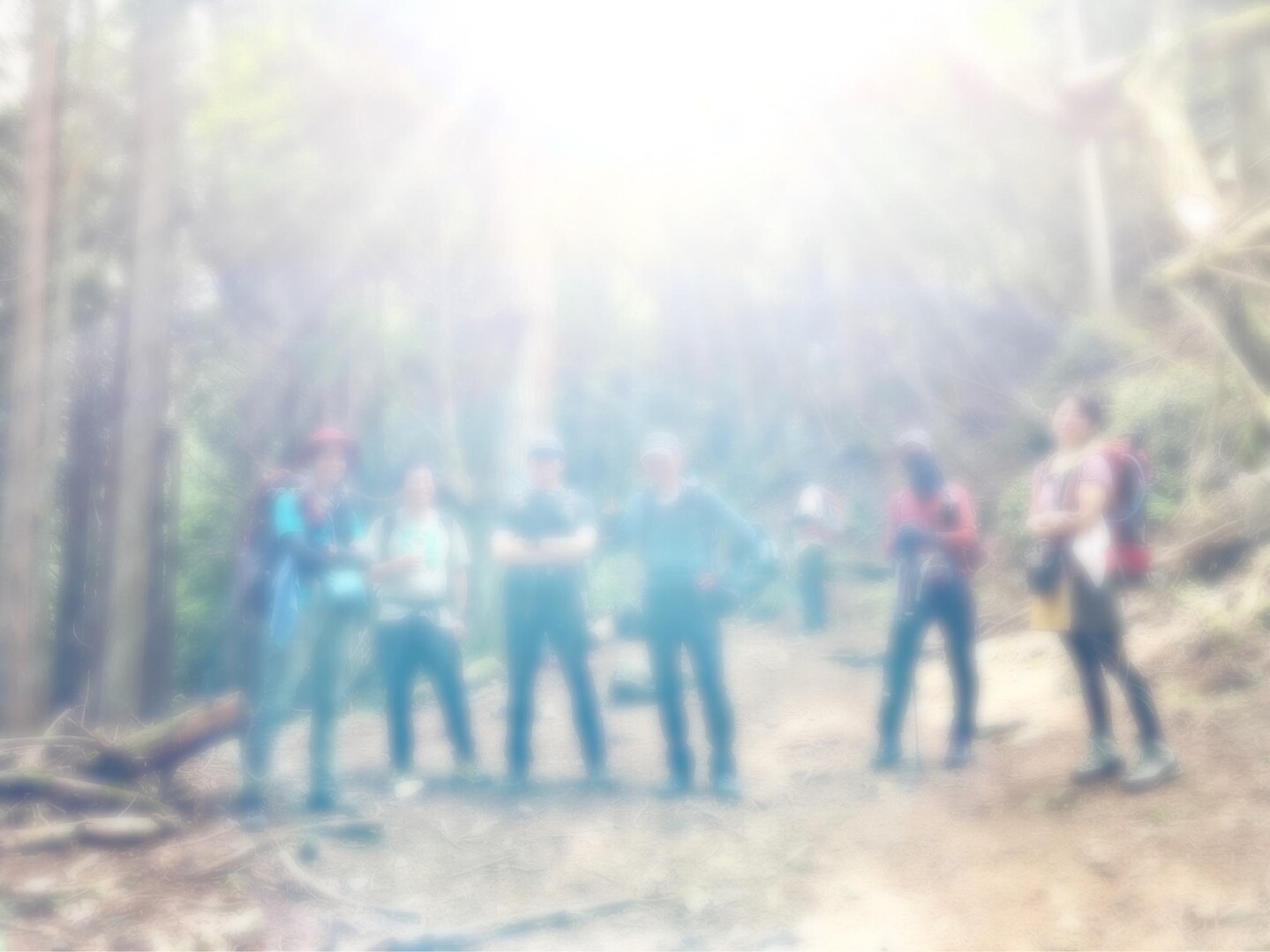 七人衆。折立山・権現山・ホッケ山・蓬莱山・打見山へ行く / keloさんの比良山地・武奈ヶ岳・釈迦岳の活動データ | YAMAP / ヤマップ