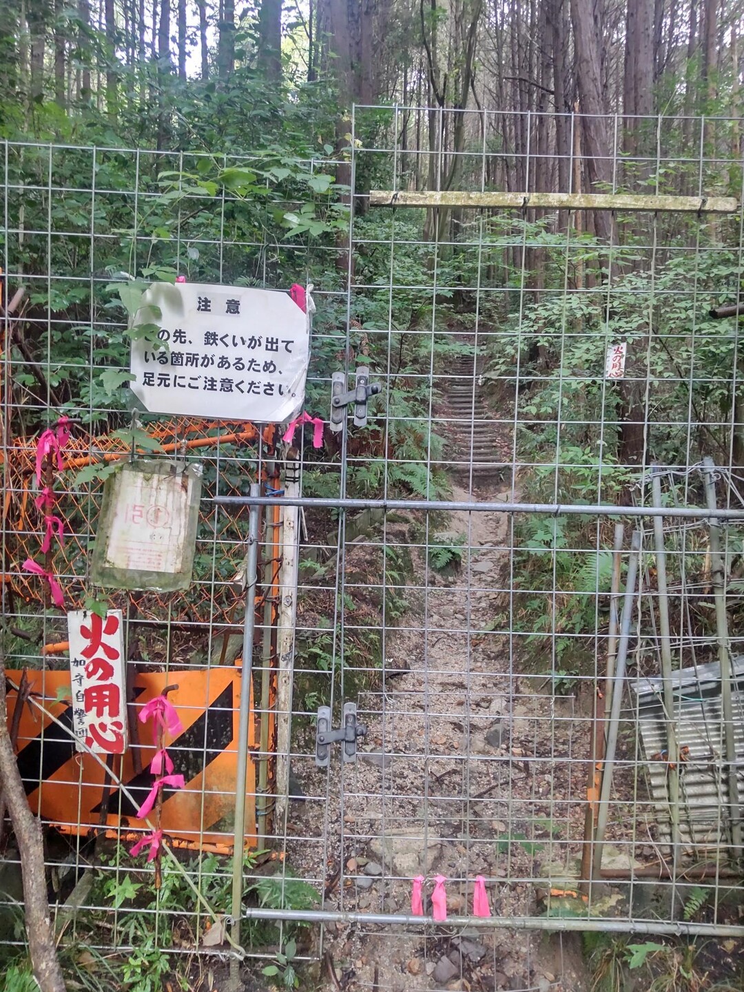 miyukyさんの投稿したフィールドメモ | YAMAP / ヤマップ