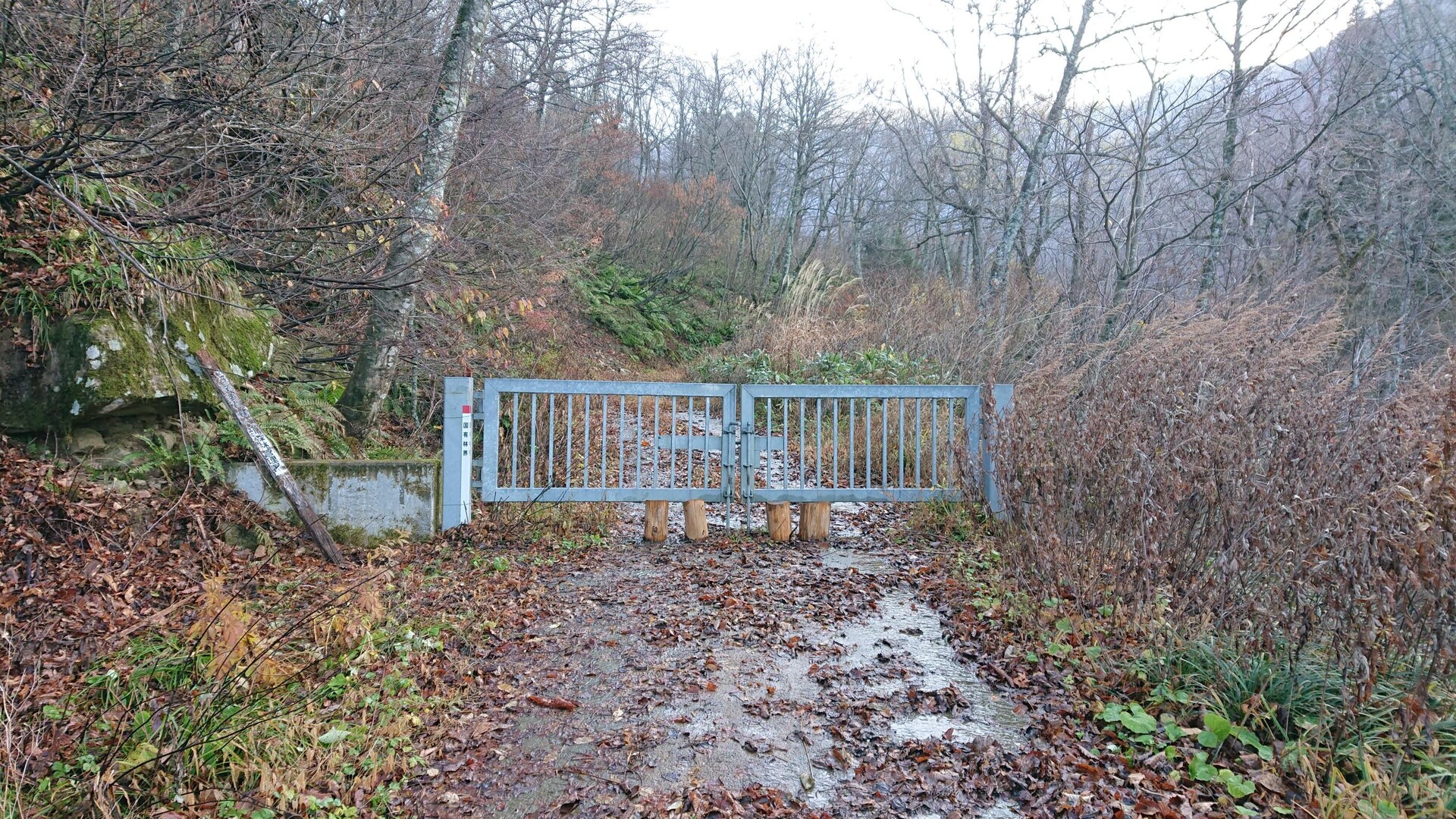 鳴谷山 撤退-2022-11-27 / Housaさんの鳴谷山の活動データ | YAMAP / ヤマップ