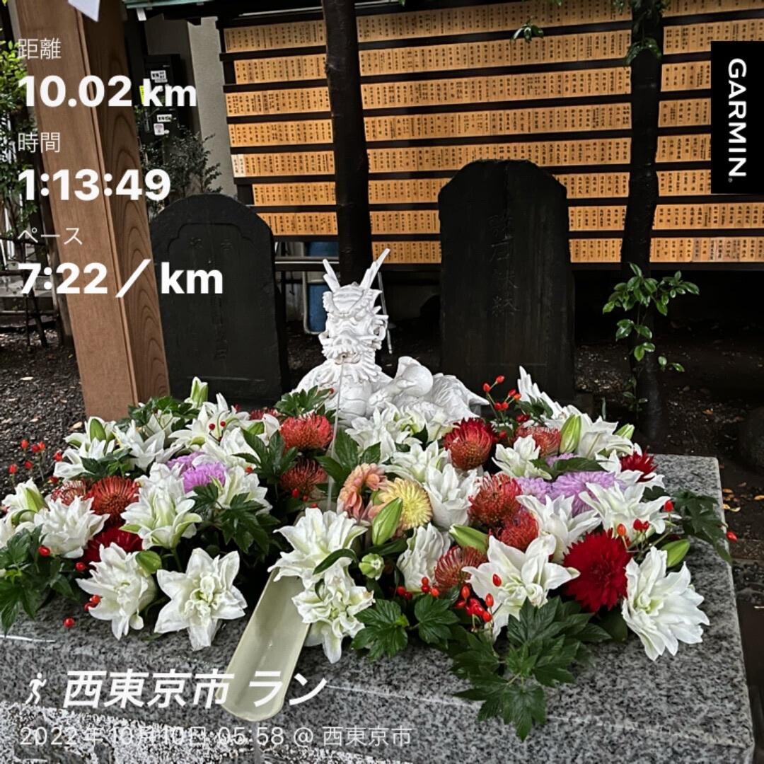 大安の今日は、先日の台風で延び延びになっ... / ミカン de mikanさんのモーメント | YAMAP / ヤマップ