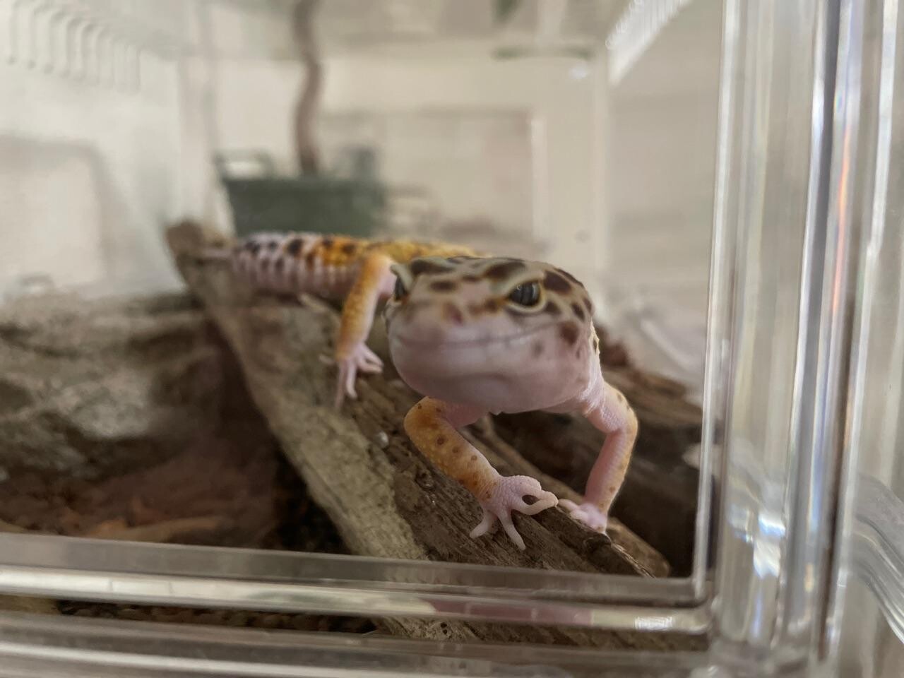 kinjunのページ | YAMAP / ヤマップ