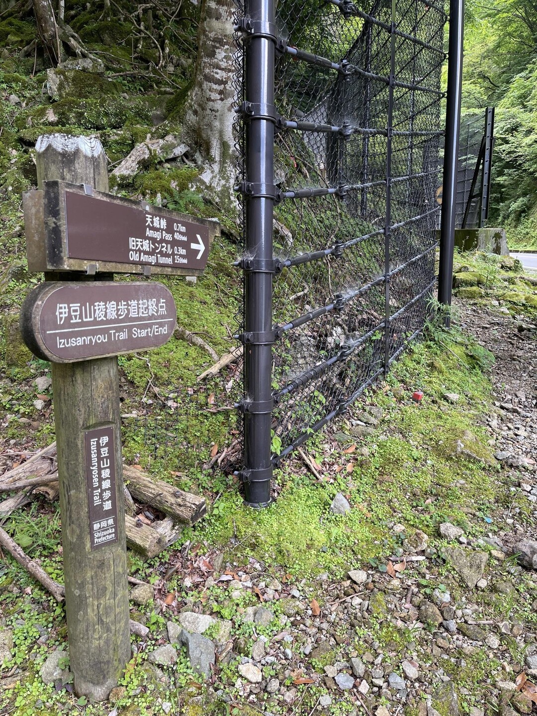 小岳・万三郎岳（天城山）・万二郎岳（天城山） / Jerricさんの天城山・鉢ノ山・三筋山の活動データ | YAMAP / ヤマップ