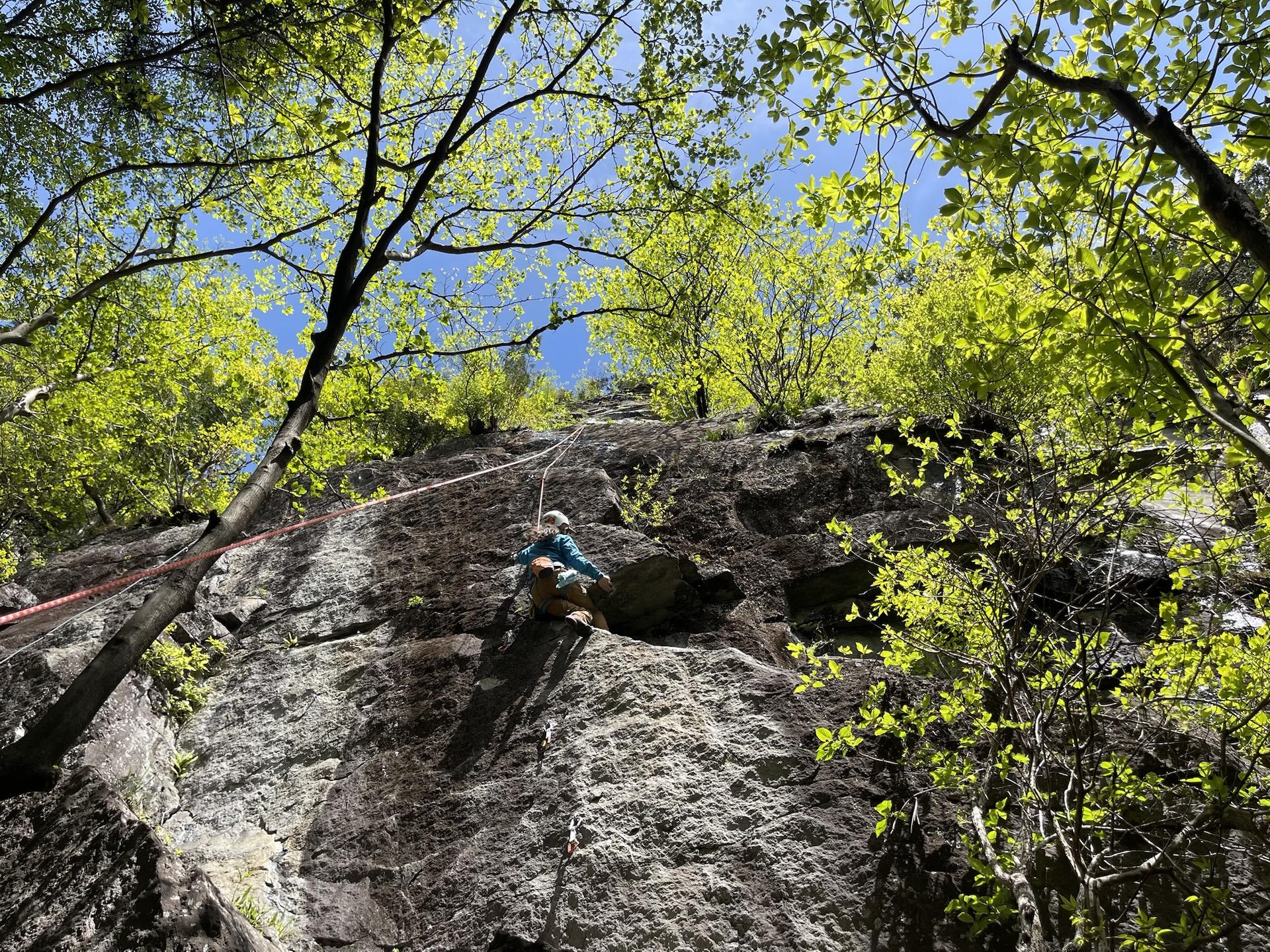 5/11榛名黒岩 触ったルート ・柿ドロ... / marioさんのモーメント | YAMAP / ヤマップ