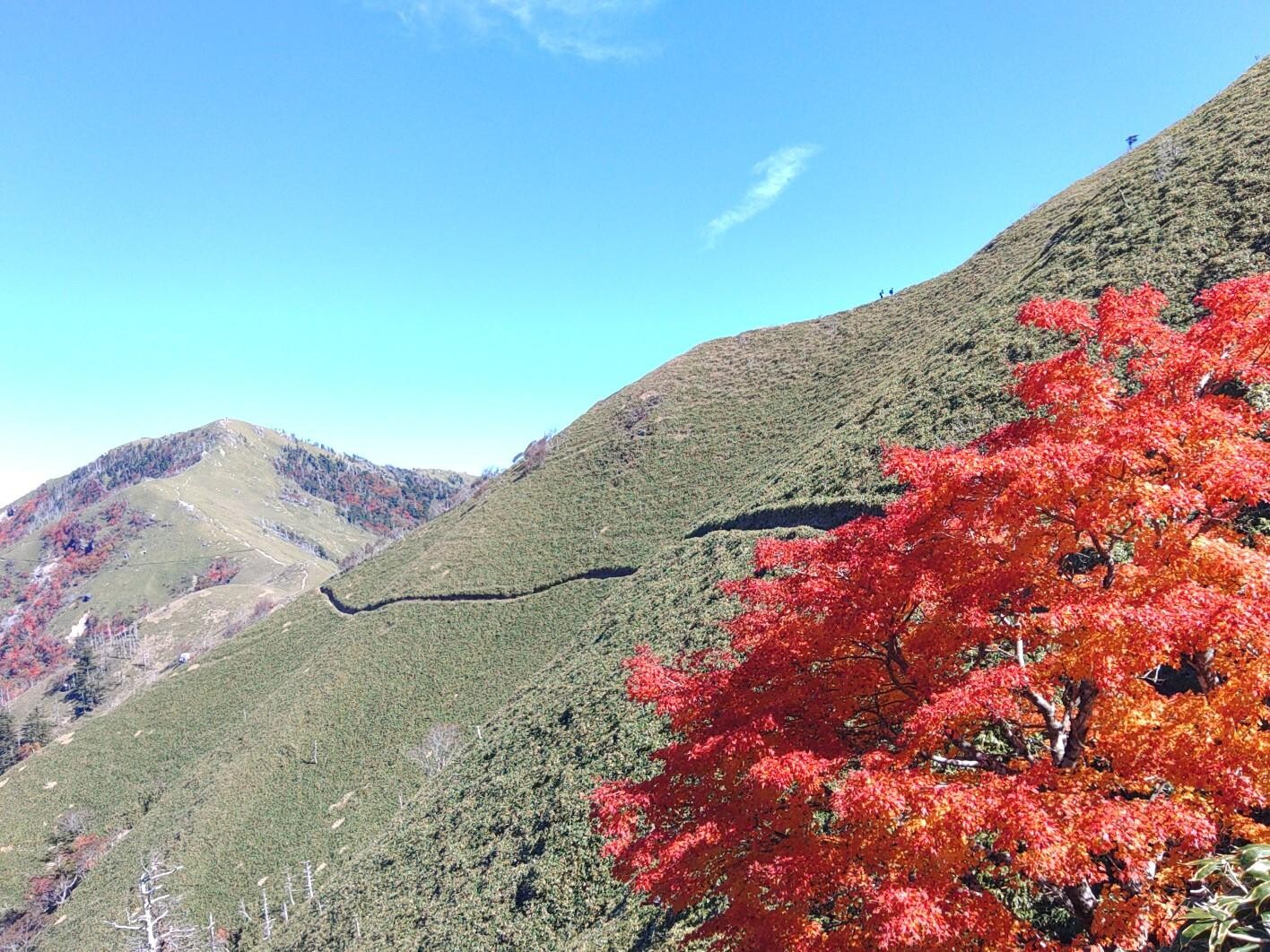 剣山 / sarryさんの剣山の活動データ | YAMAP / ヤマップ