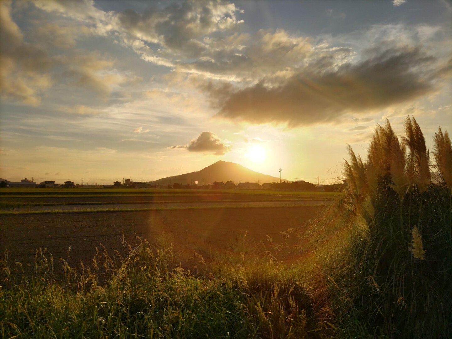 ランニング-2023-08-27 / Kazhiさんのランニングの活動データ | YAMAP / ヤマップ