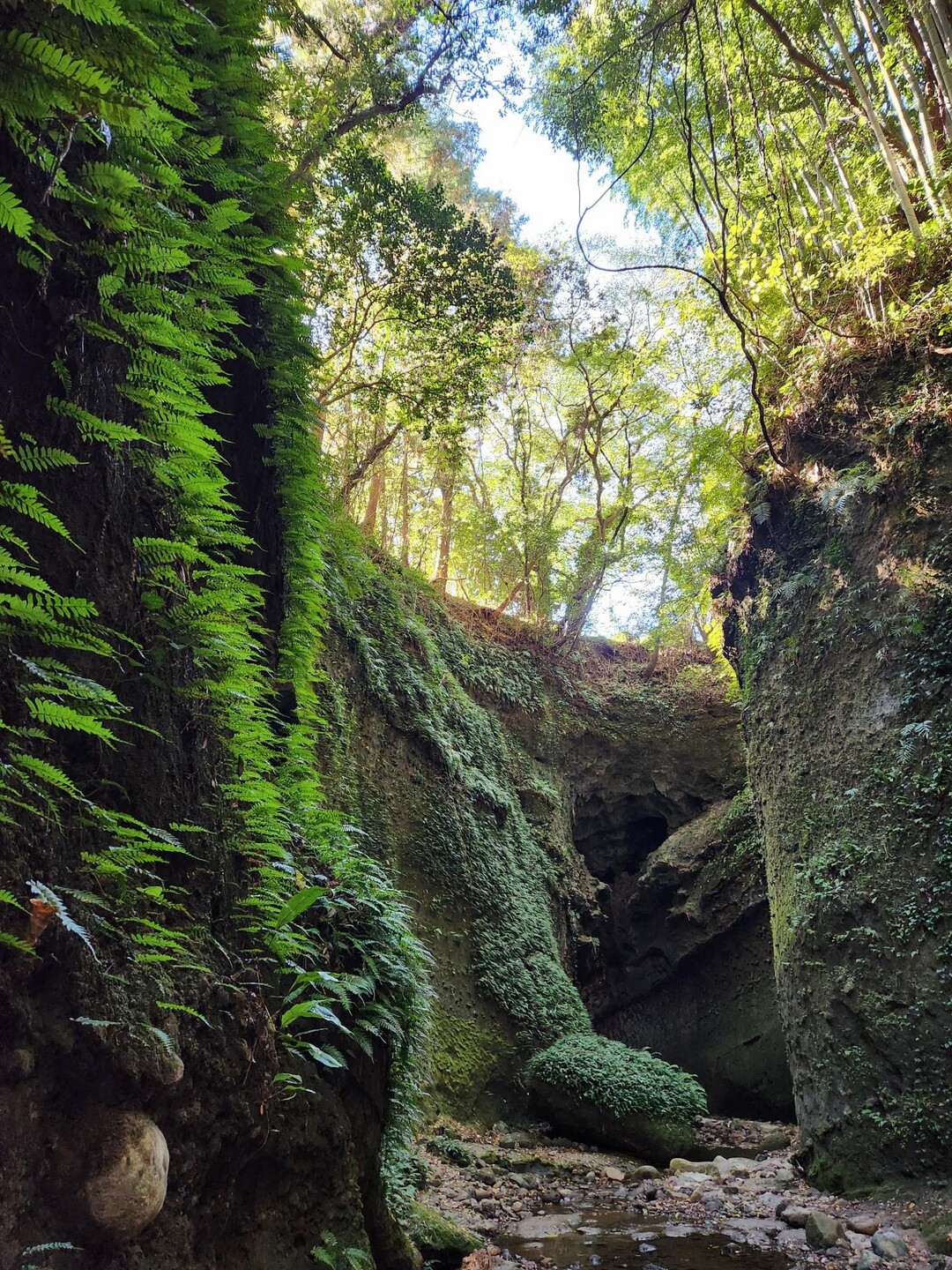 伊尾木洞 / Kaoriさんの四国遍路その5の活動データ | YAMAP / ヤマップ