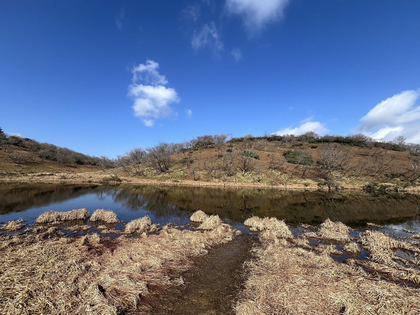 権現山・ホッケ山・蓬莱山・打見山・霊仙山 / ayuminさんの比良山地・武奈ヶ岳・釈迦岳の活動日記 | YAMAP / ヤマップ